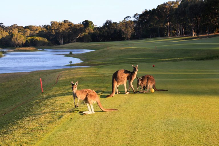 Cavendish Golf Club – Award winning golf club in Buxton, Derbyshire